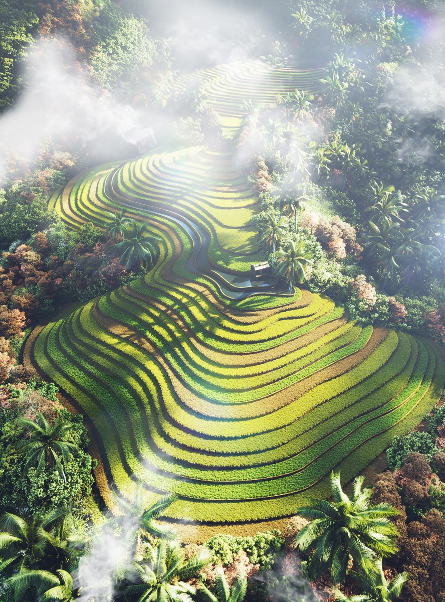 Rice Terraces Vietnam | Architecture Visualization Awards