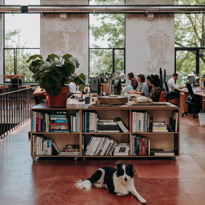 Lyco House / OYO | ArchDaily