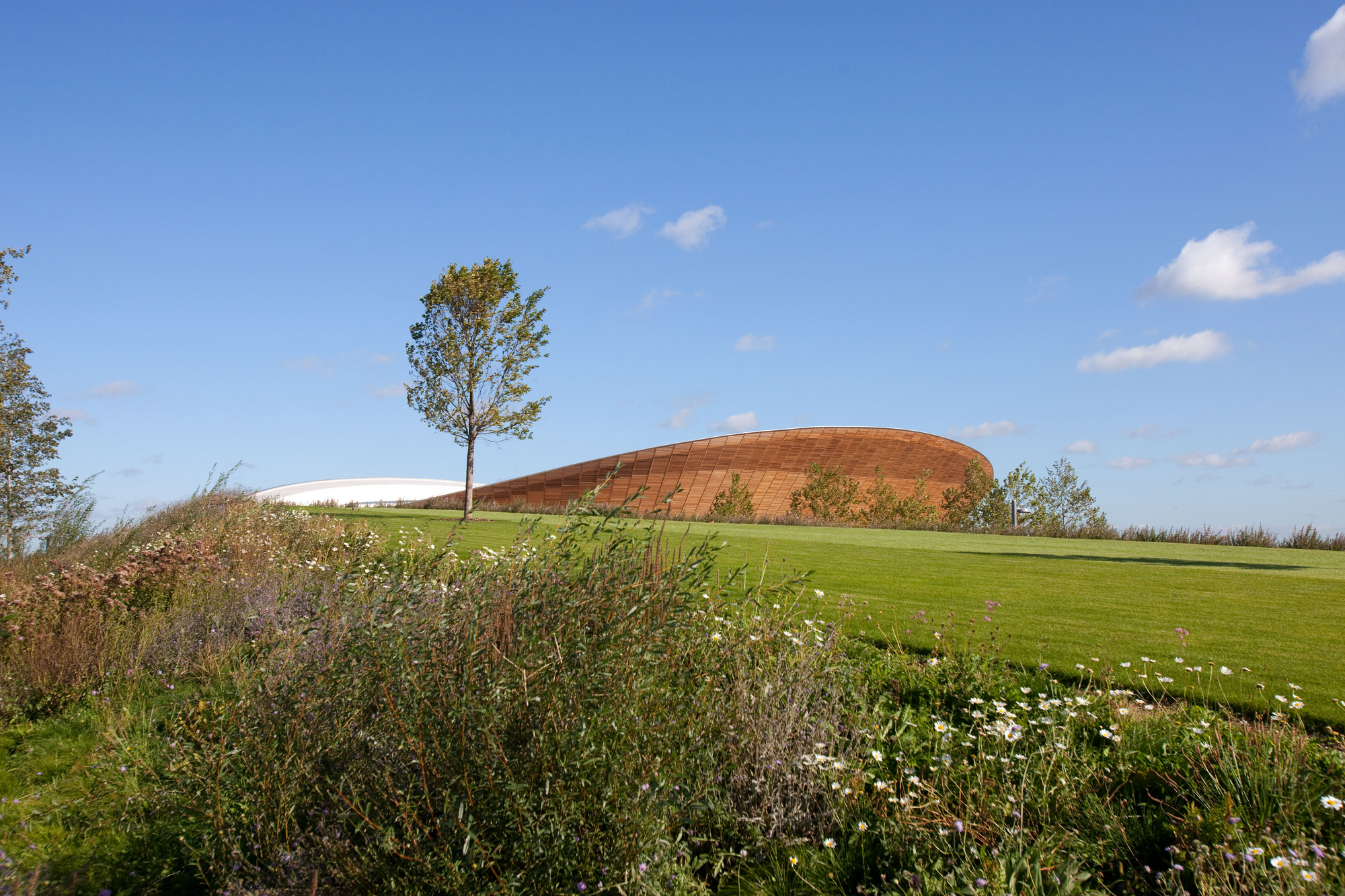 Gallery of London 2012 Velodrome / Hopkins Architects - 12