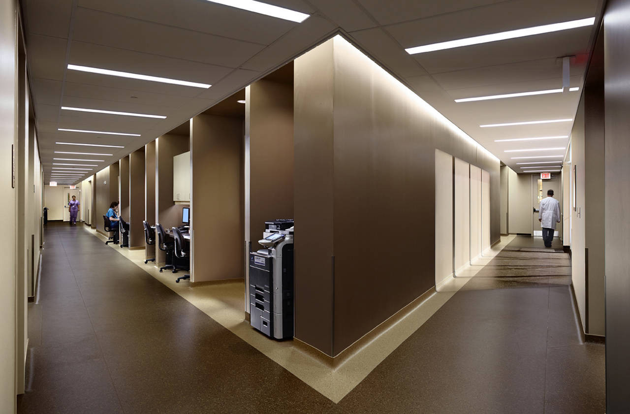 Gallery of Memphis Veterinary Specialists / archimania - 7