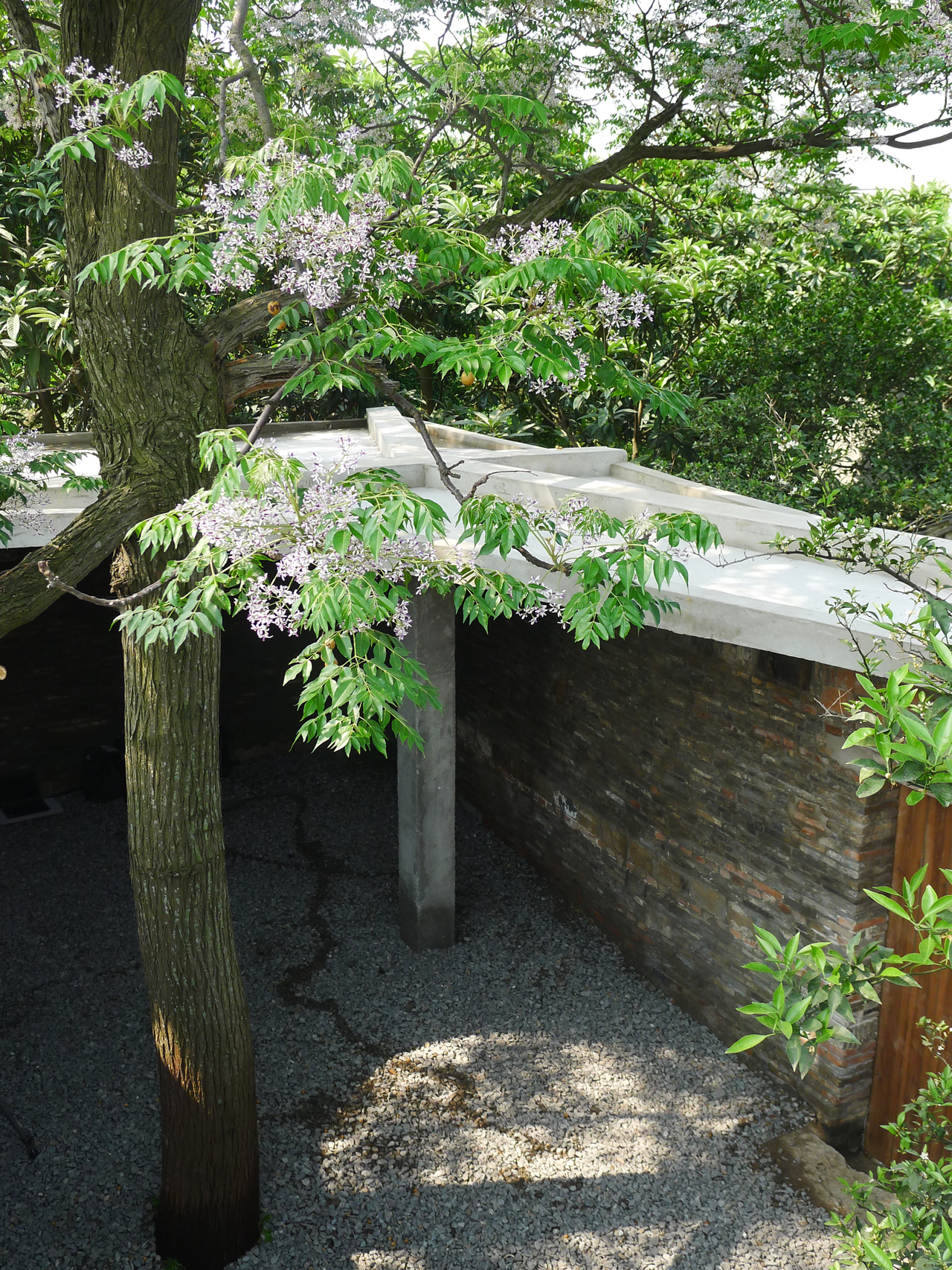 Gallery of Twin Trees Pavilion / Atelier Archmixing - 12