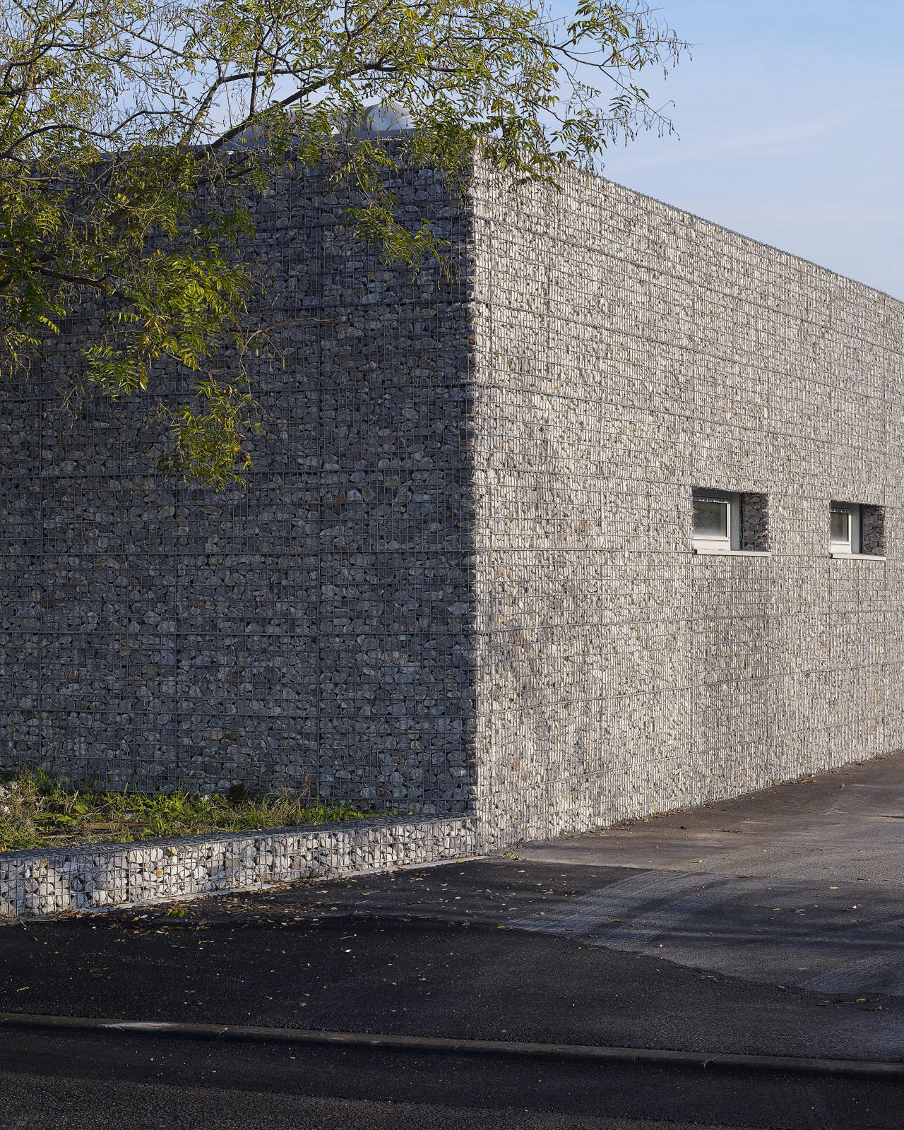 Gallery of Canine Brigade / TRANSFORM + DS architecture - 11