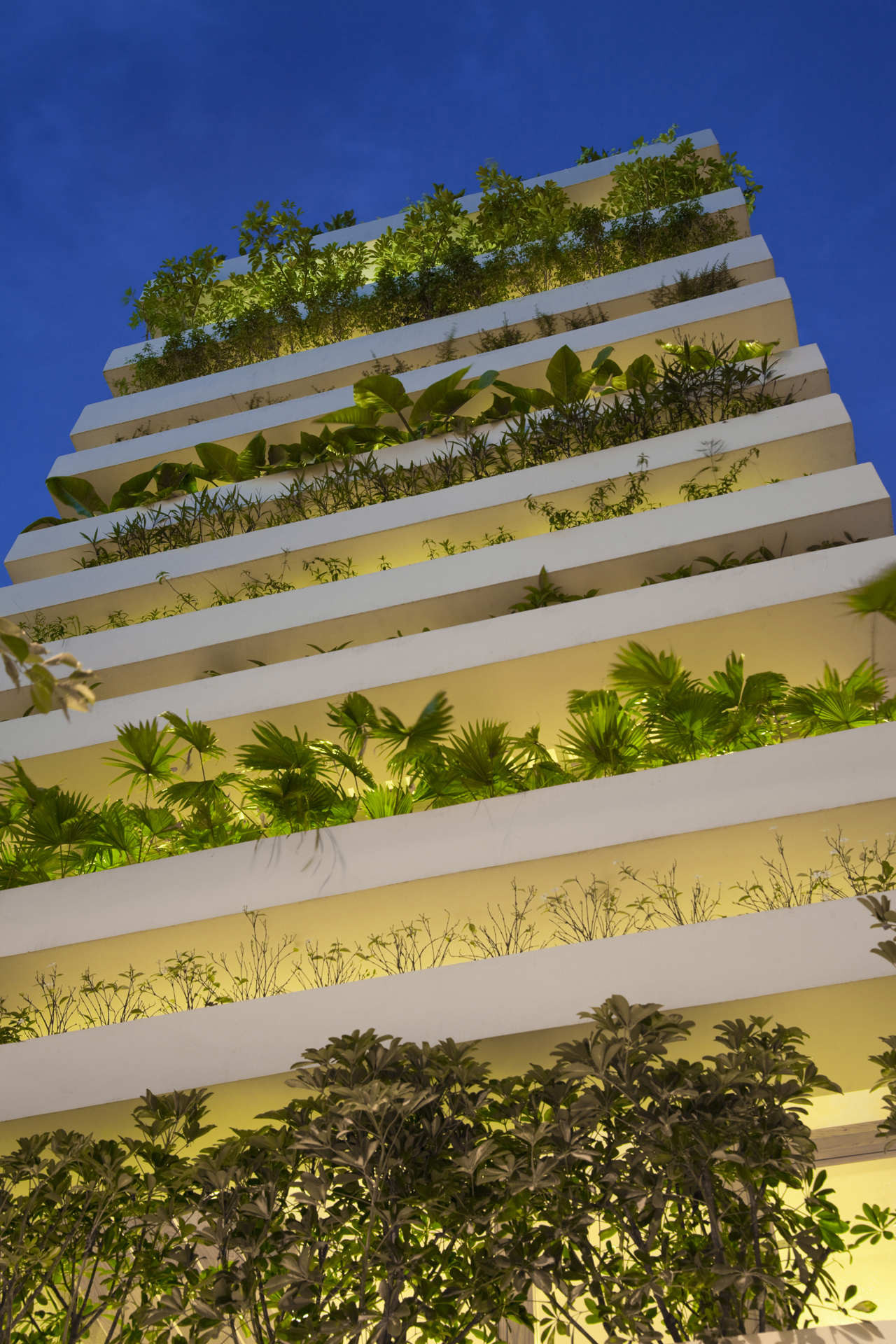 Gallery of Stacking green / VTN Architects - 18
