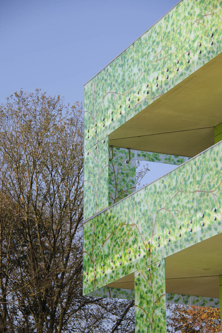 Gallery of Gingko Project / Casanova + Hernandez Architects - 14