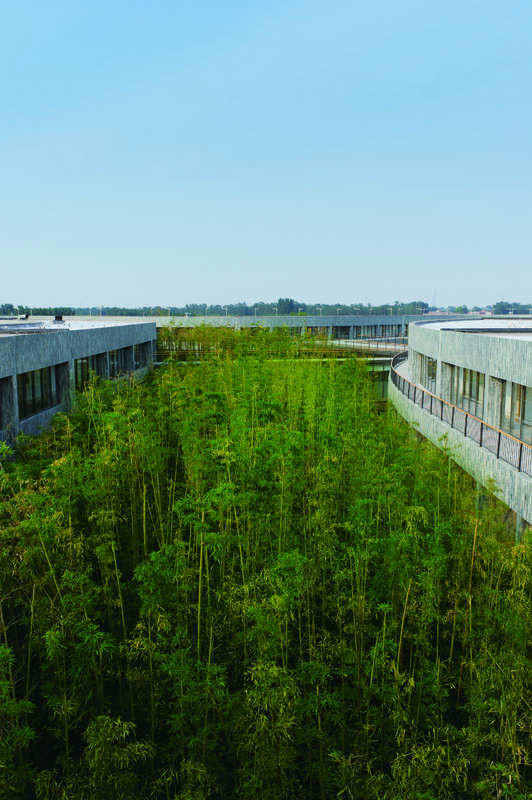 Gallery of Ming-Tang Hot Spring Resort / CT Design + Cooperation Team - 35