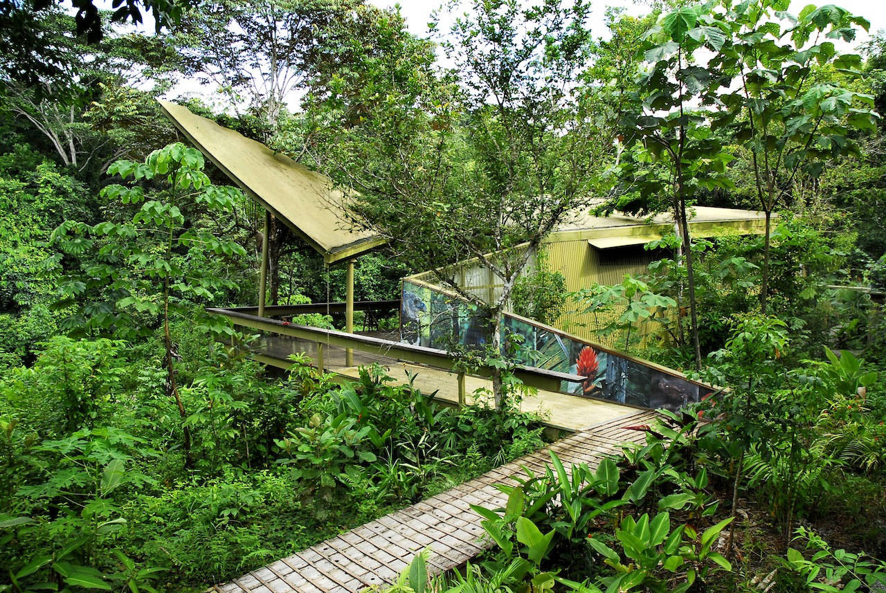 Gallery of Panama Rainforest Discovery Center / ENSITU - 6