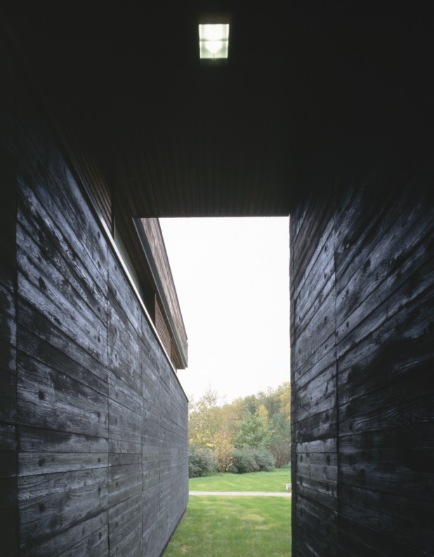 Gallery of T-house / ARCH 4 - 3