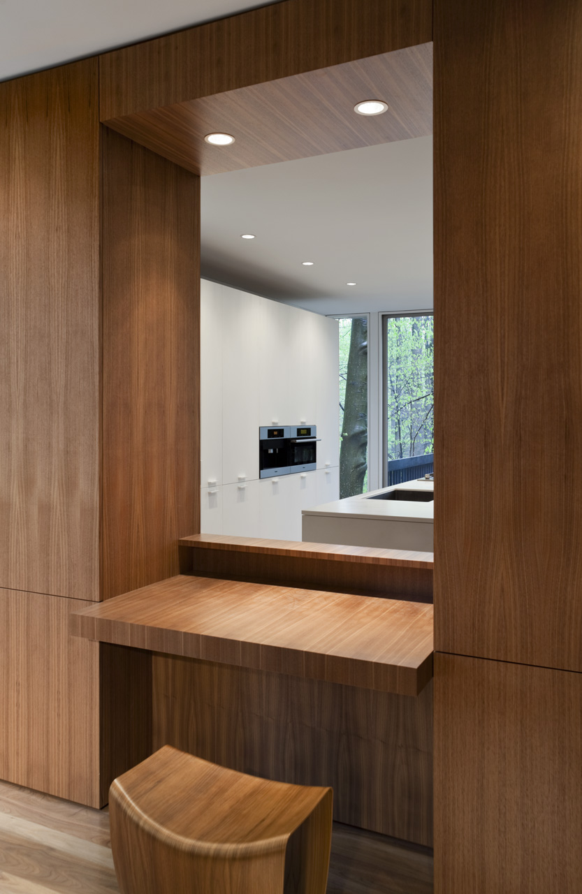 Gallery of Record House Revisited / David Jameson Architect - 8