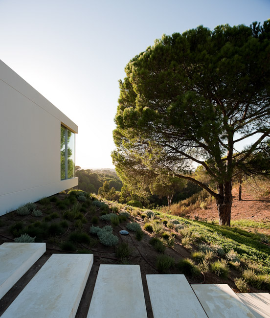 Gallery of House in Melides / Pedro Reis - 19