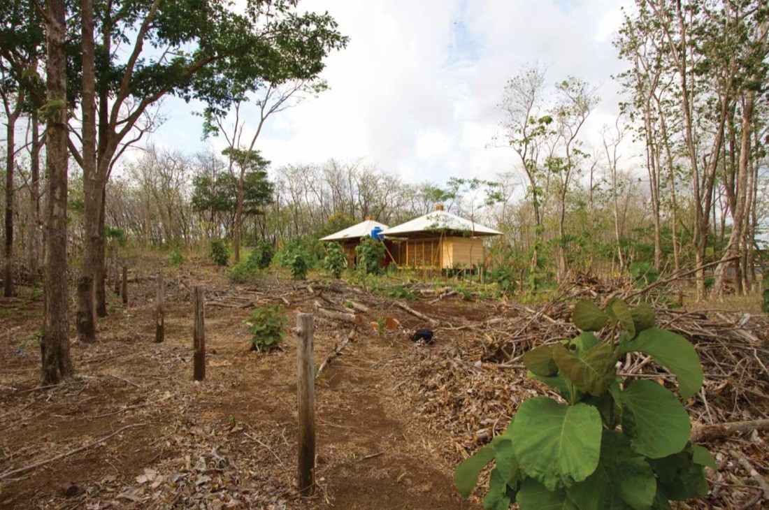 Gallery of A forest for a Moon Dazzler / Benjamin Garcia Saxe - 8