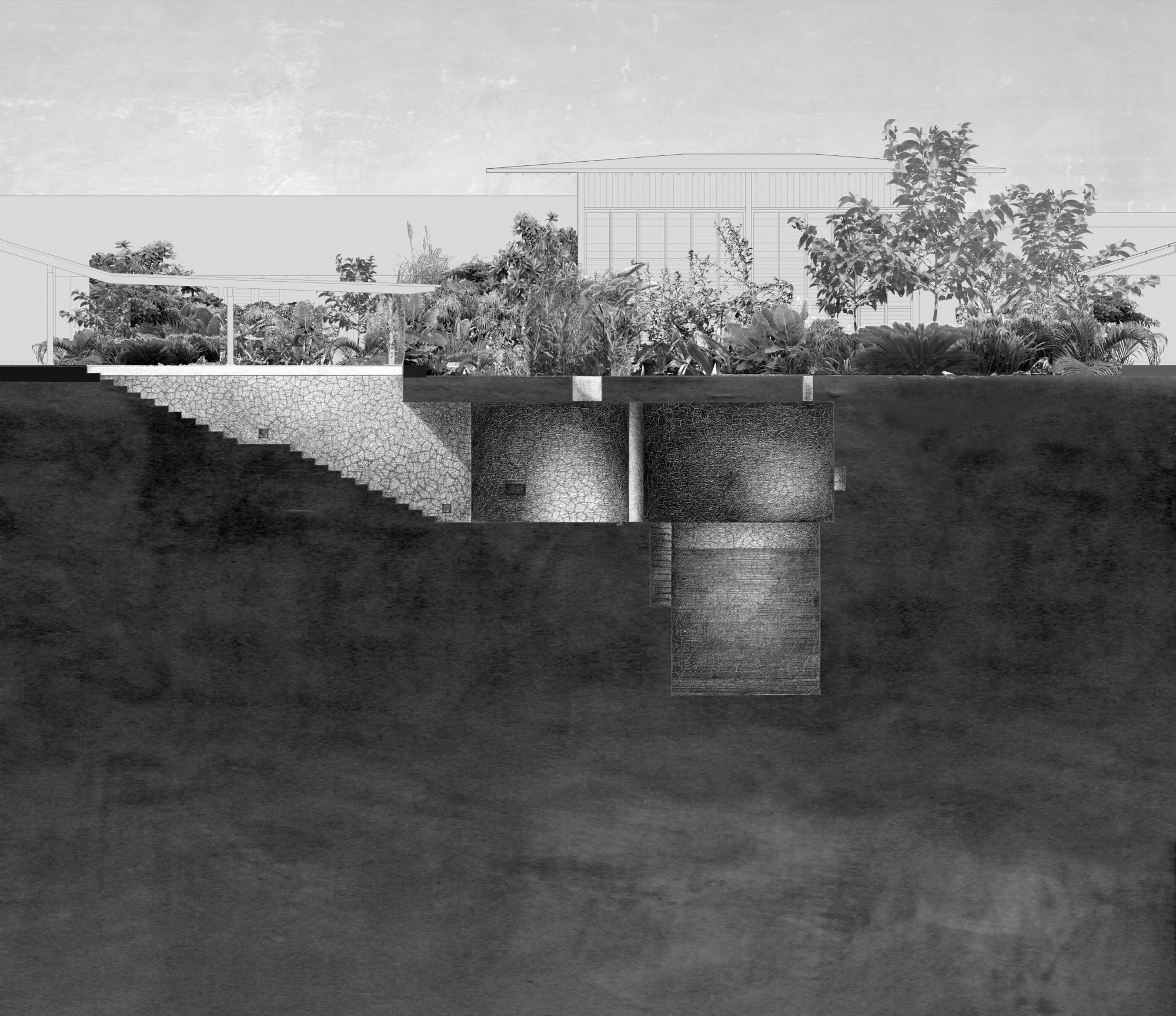 Gallery of Tara House / Studio Mumbai - 13