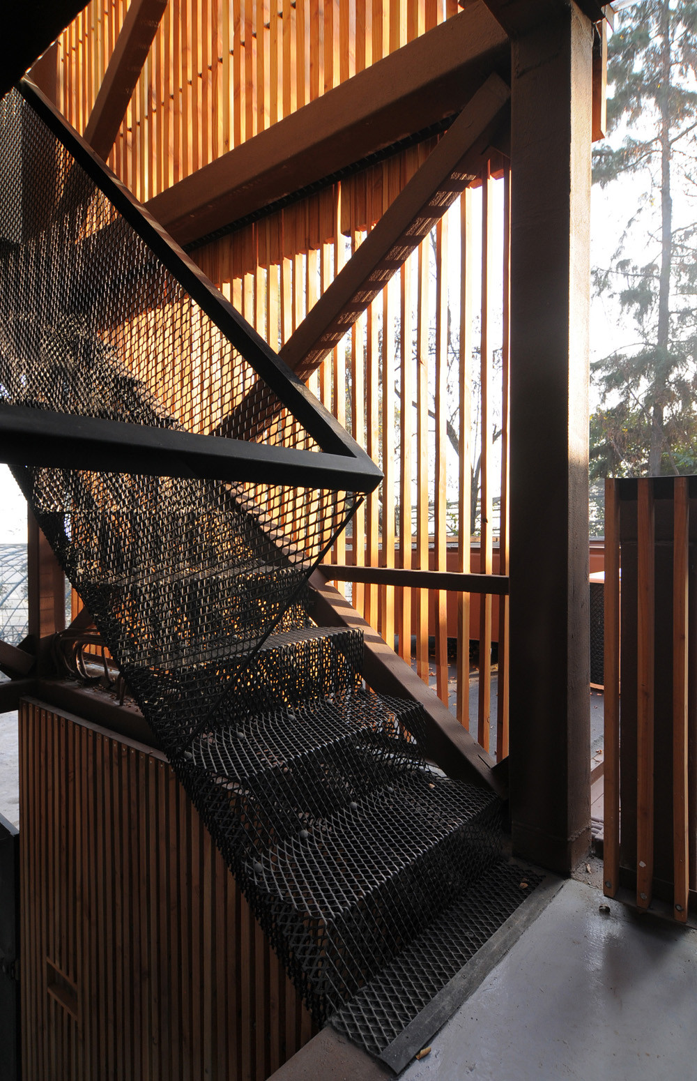 Gallery of Zoo Nursery / Carreño Sartori Arquitectos - 7