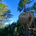 Yellow Treehouse Restaurant / Pacific Environments | ArchDaily