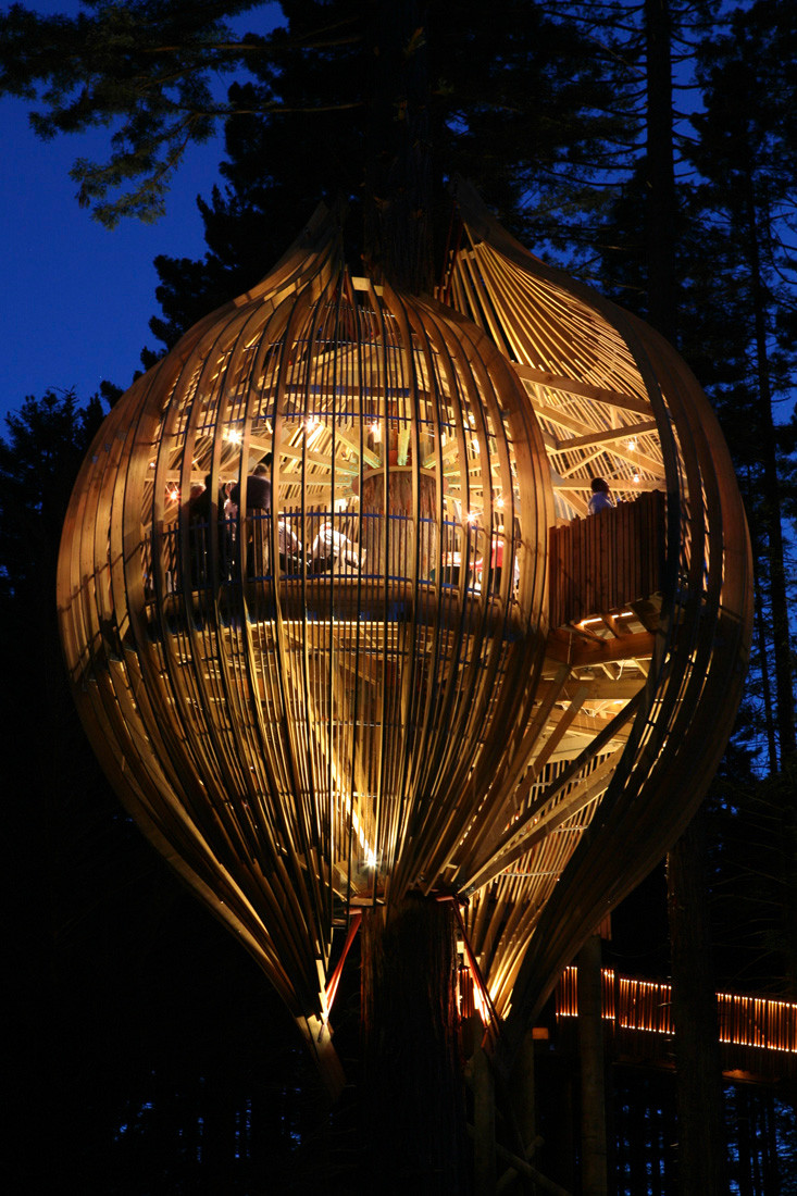 Gallery of Yellow Treehouse Restaurant / Pacific Environments - 12