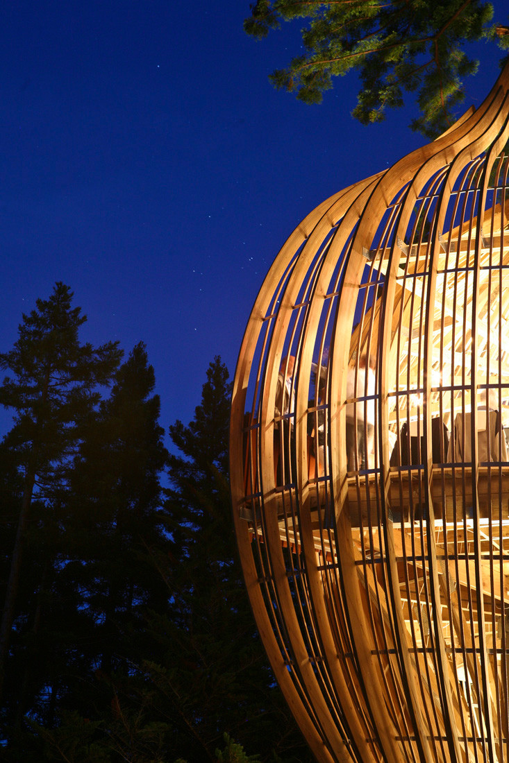 Gallery of Yellow Treehouse Restaurant / Pacific Environments - 14