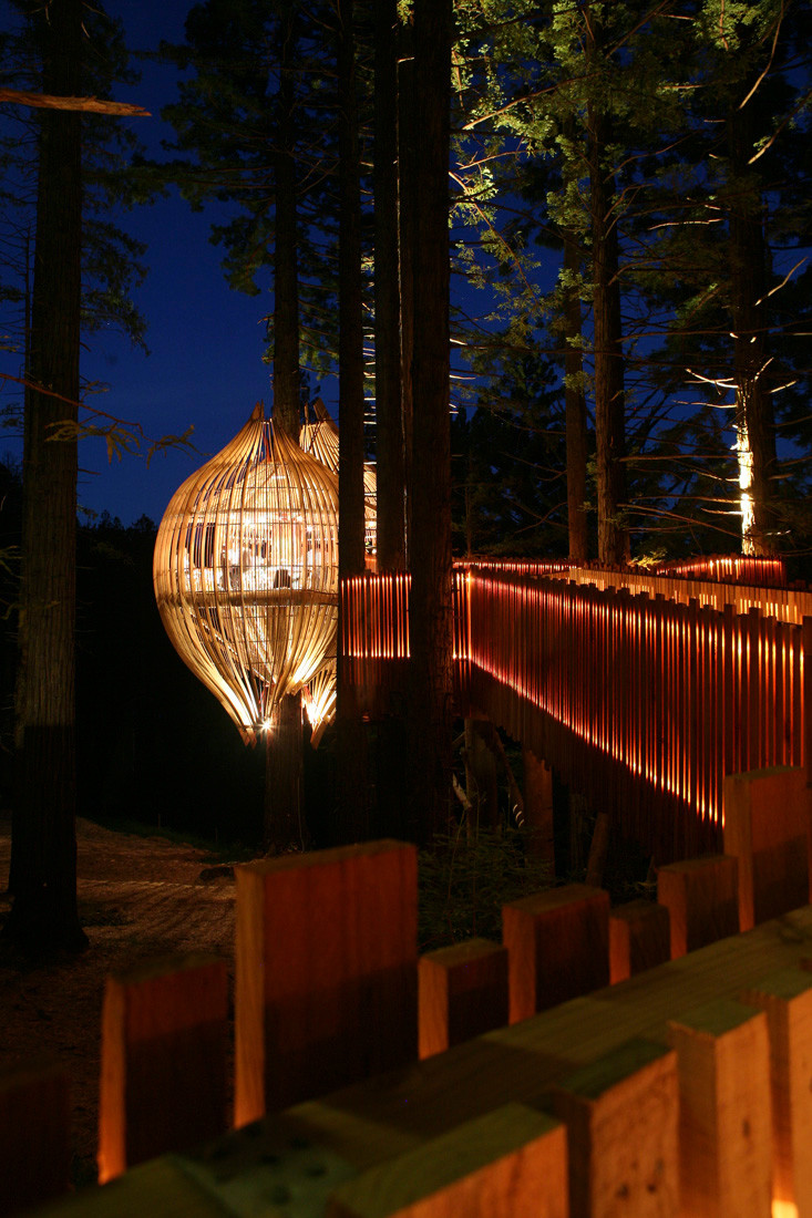 Gallery of Yellow Treehouse Restaurant / Pacific Environments - 16