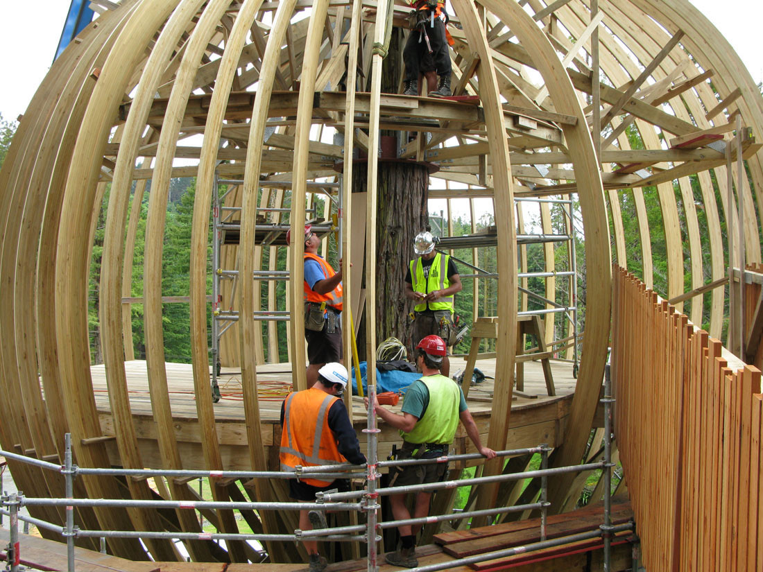 Galería de Restaurante Yellow Treehouse / Pacific Environments - 36