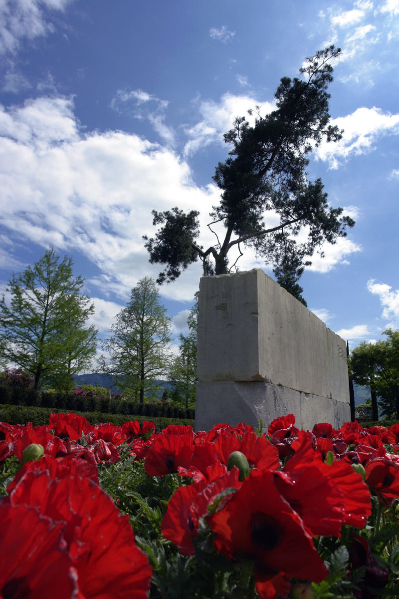 Gallery of Tree Museum / Enea Garden Design - 4