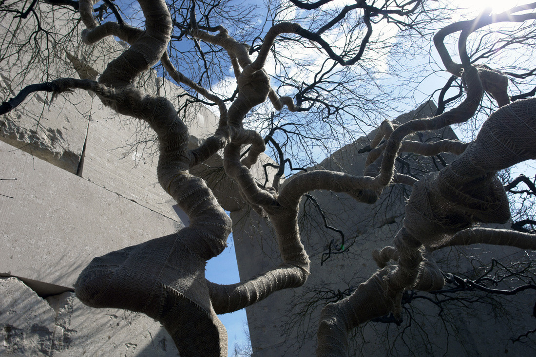 Gallery of Tree Museum / Enea Garden Design - 6