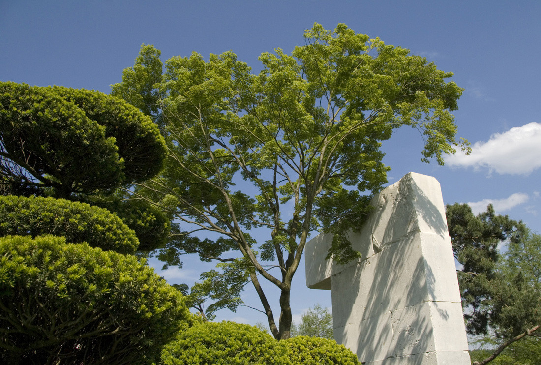 Gallery of Tree Museum / Enea Garden Design - 17