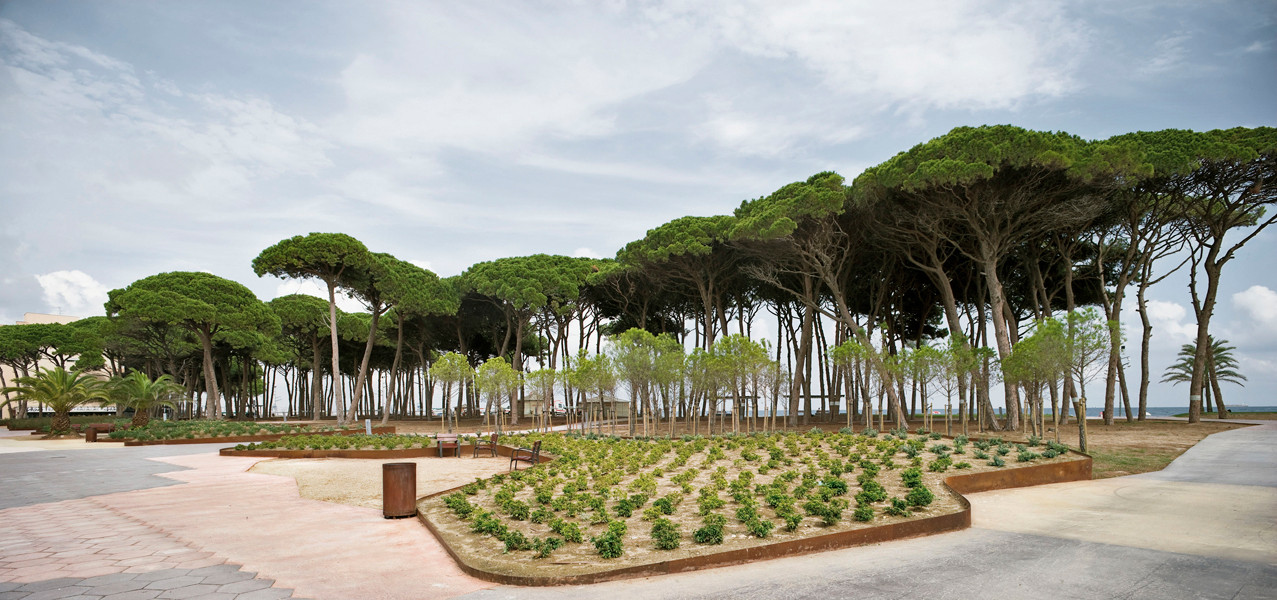 Gallery of "Pinar de Perruquet" Park / Arteks Arquitectura - 3