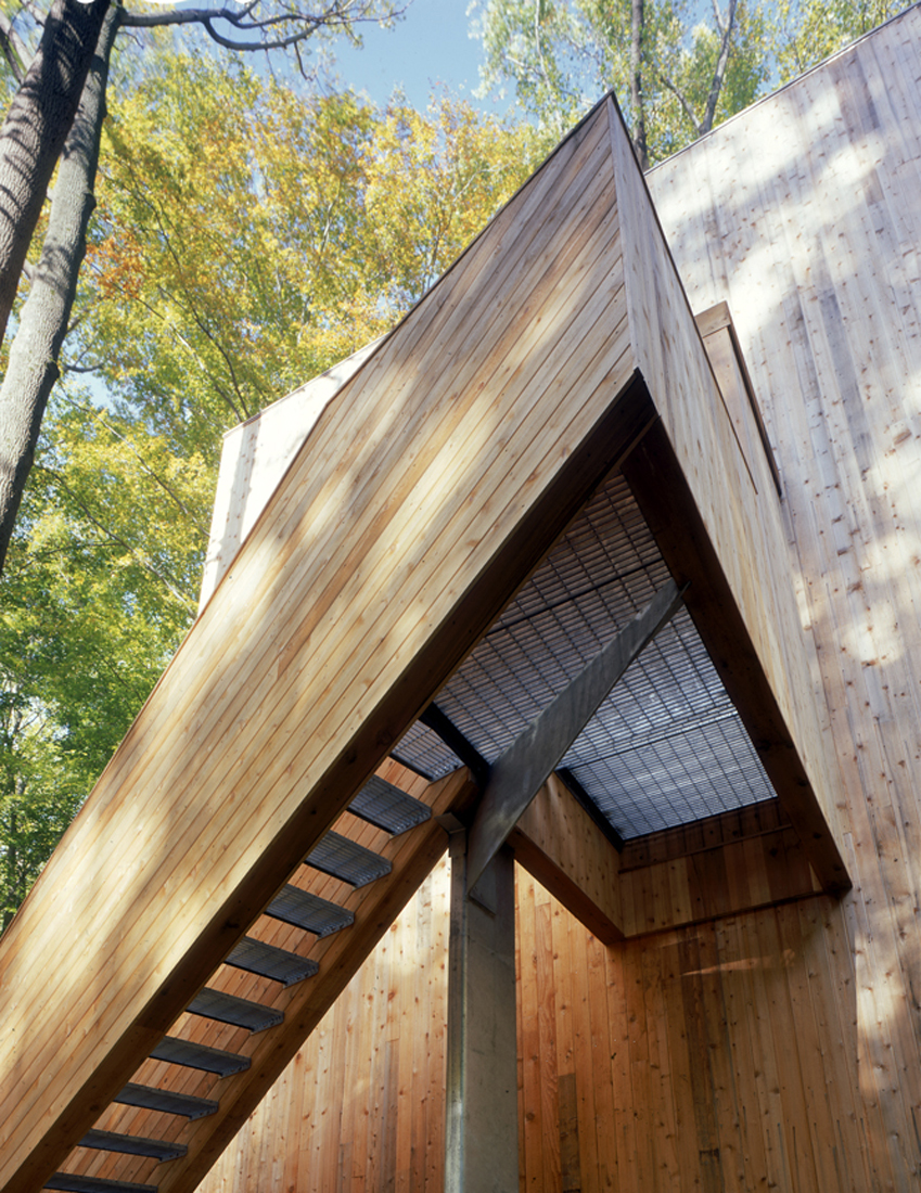 Gallery of Tree house / Sander Architects - 5
