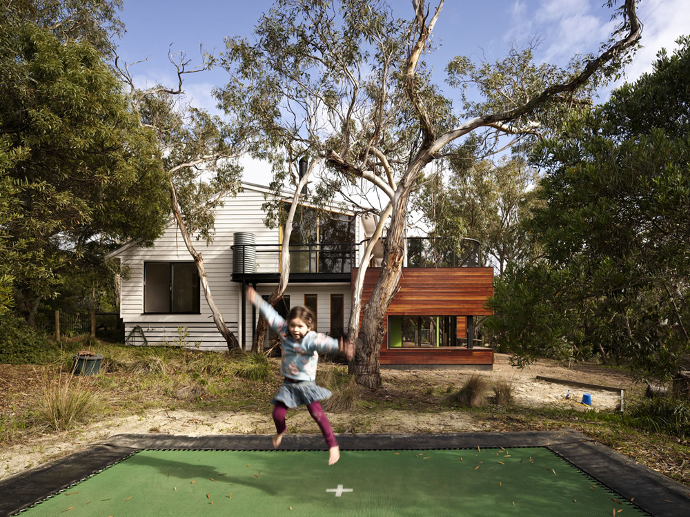 Gallery of Anglesea House / Austin Maynard Architects - 6