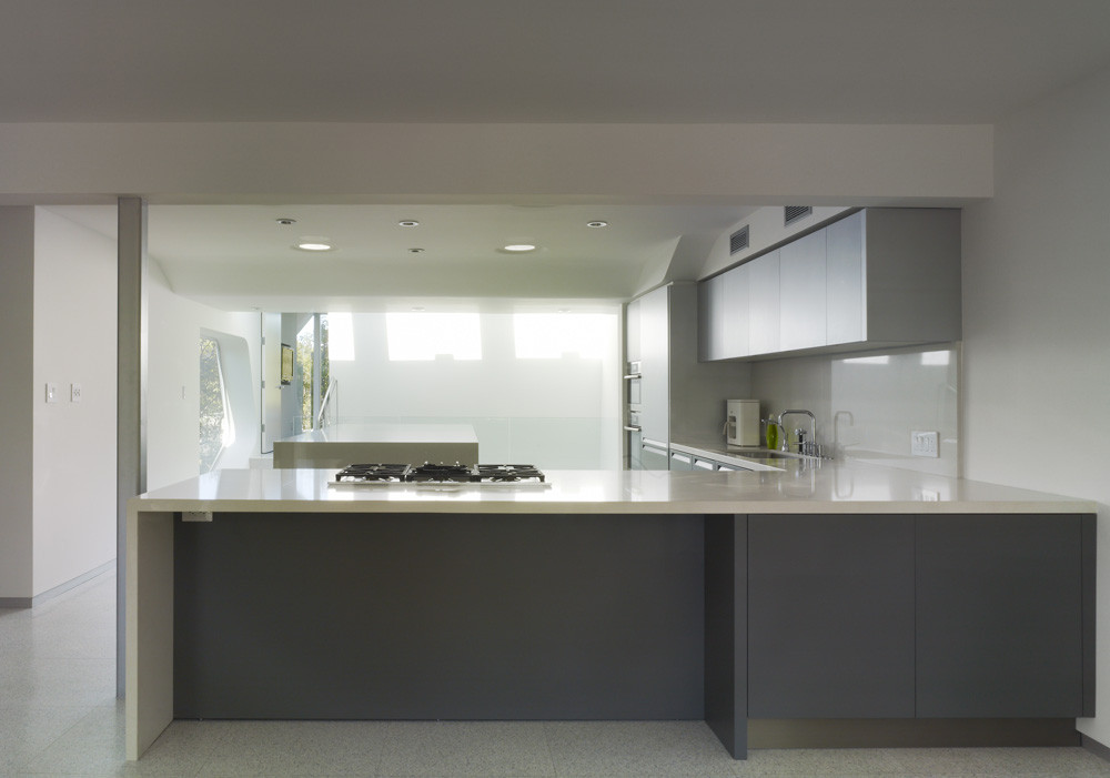 Gallery of Alan Voo House / Neil M. Denari Architects - 7