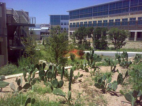 Gallery of AMD's Lone Star Campus / TBG Partners - 4