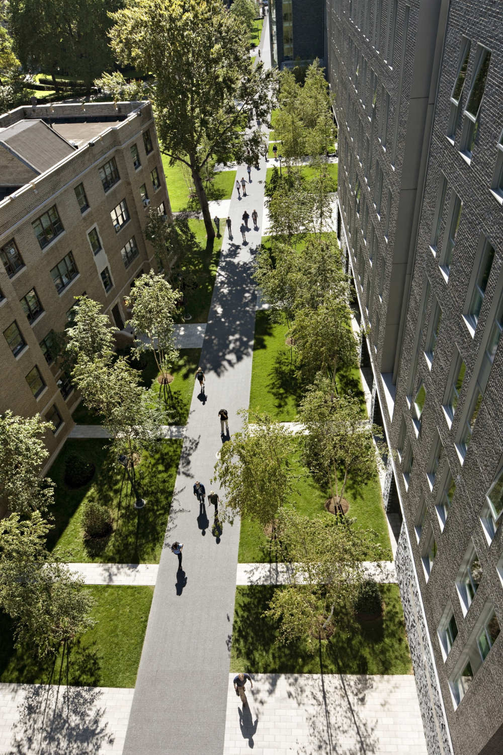 Gallery of Fordham University New Residence Halls / Sasaki - 14