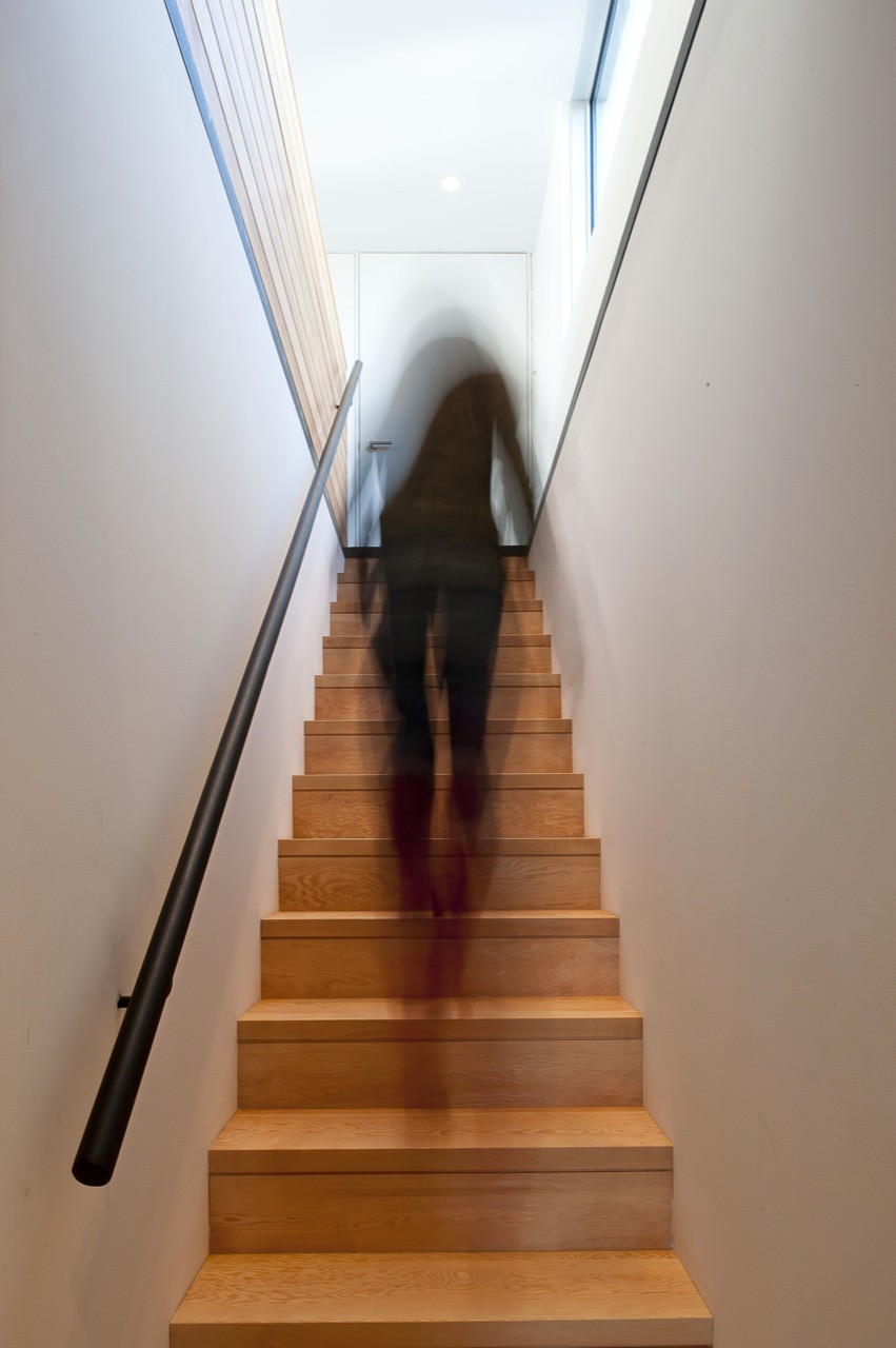 Gallery of Martin-Lancaster House / MacKay-Lyons Sweetapple Architects - 12