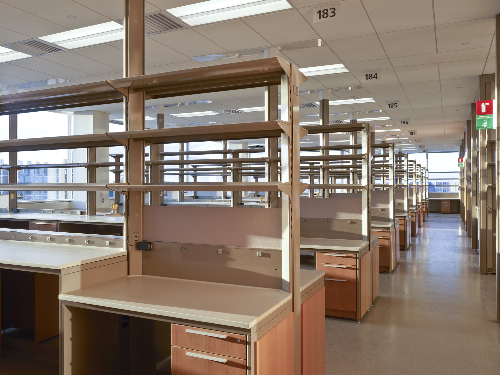 Gallery of Translational Research Center / Rafael Viñoly Architects - 10