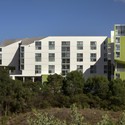 Gallery of Te Puni Village / Architectus - 9