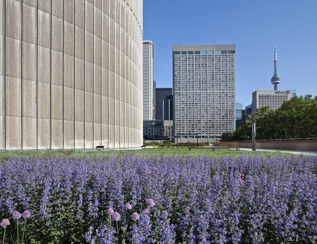 Gallery of NPS Podium Roof Garden / PLANT Architect & Perkins+Will ...