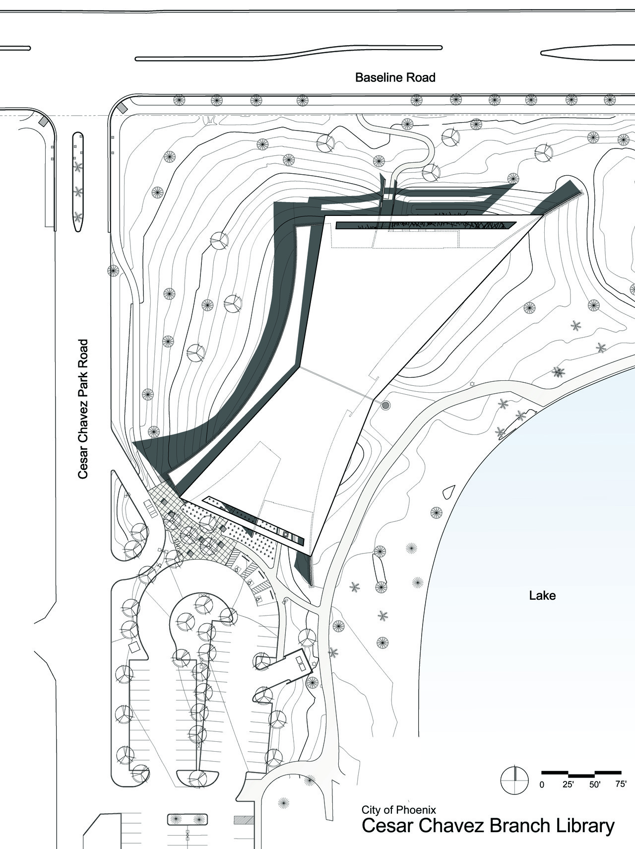Gallery of Cesar Chavez Library / Line and Space - 13