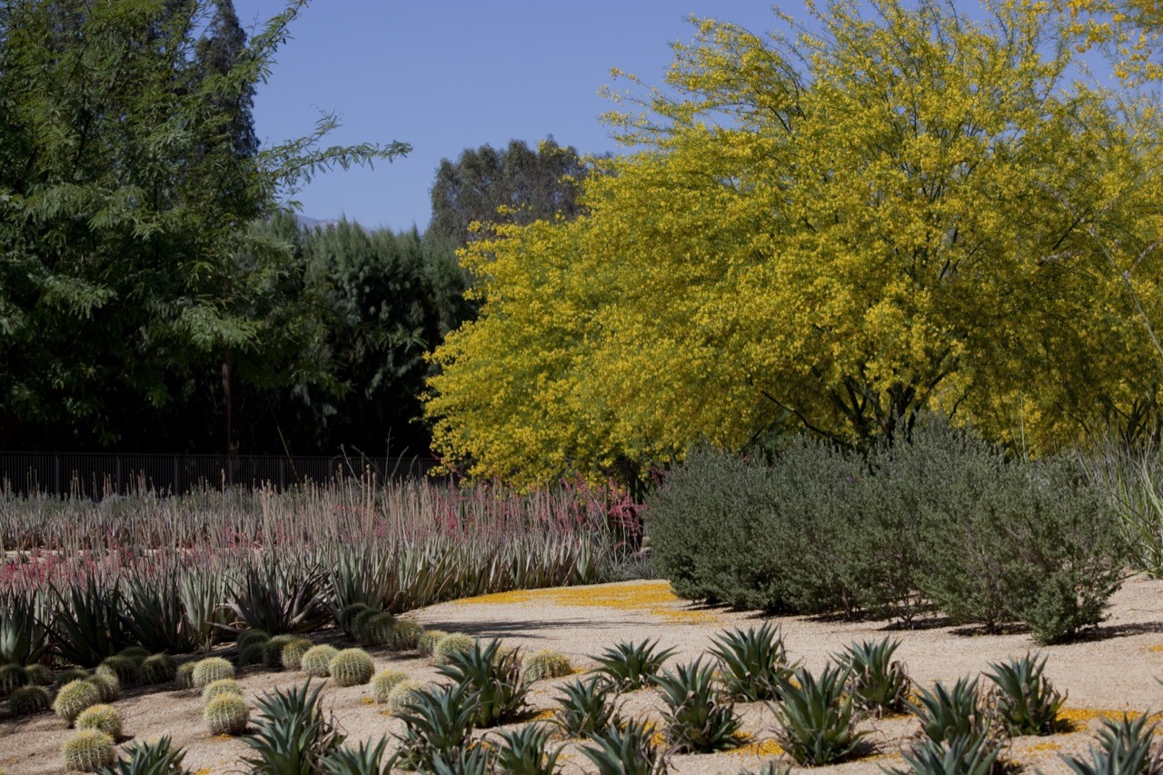 Gallery of Sunnylands Center and Gardens / The Office of James Burnett ...