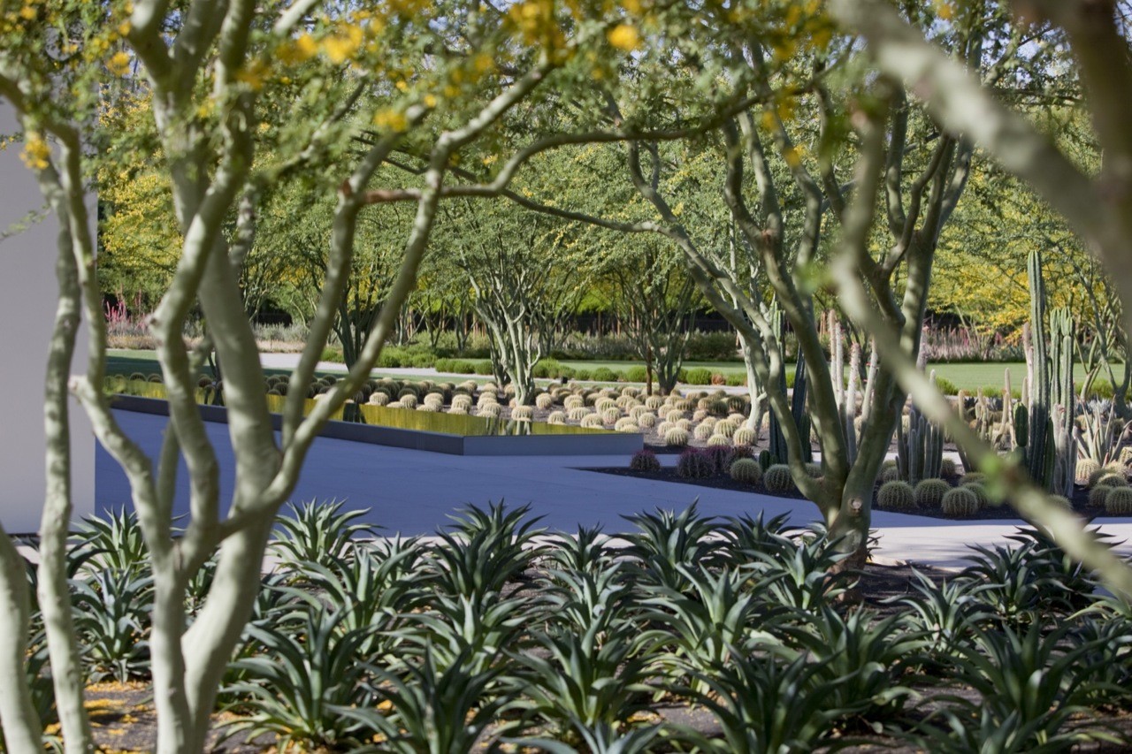 Gallery of Sunnylands Center and Gardens / The Office of James Burnett ...