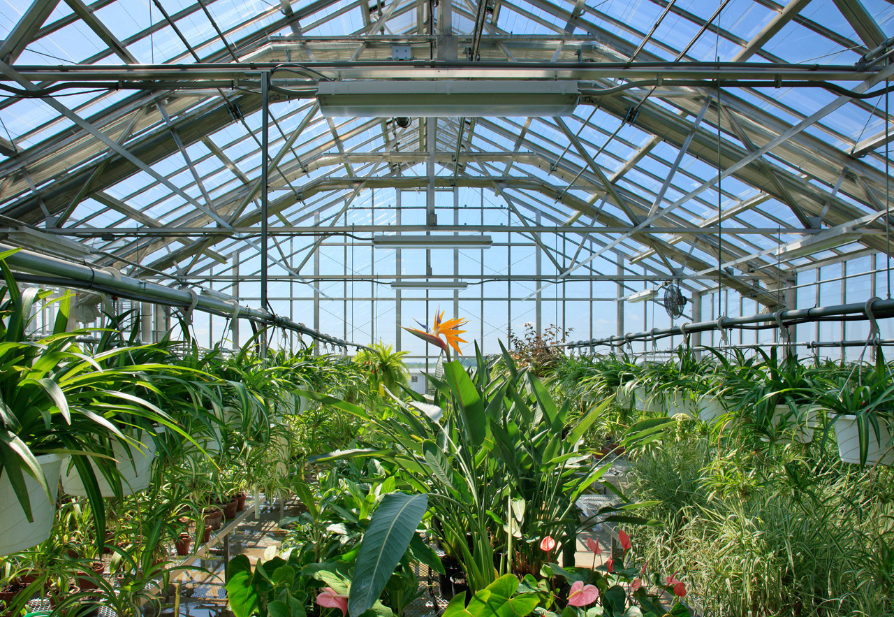 Gallery of Kirkwood Horticulture Building / OPN Architects - 9