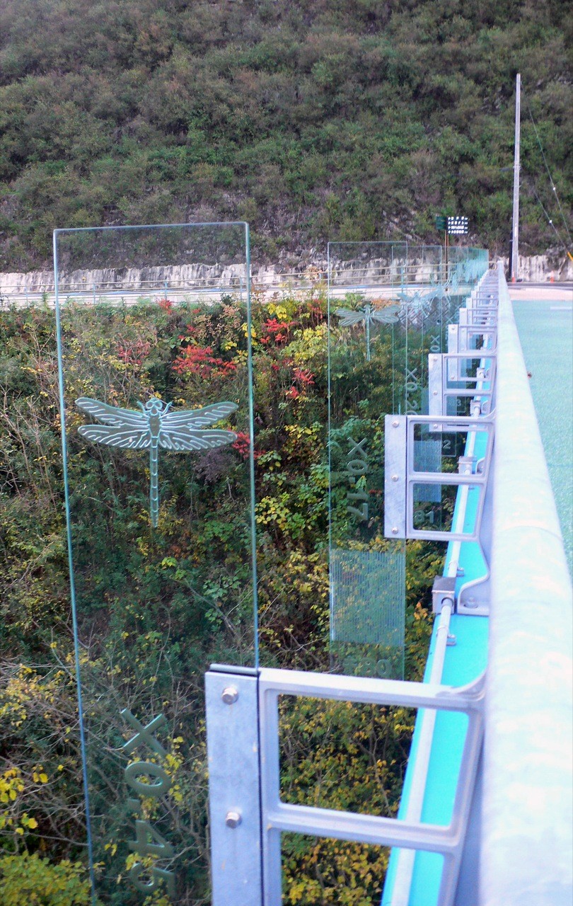 Gallery of Glass Bridge / Hideki Yoshimatu + archipro architects - 17