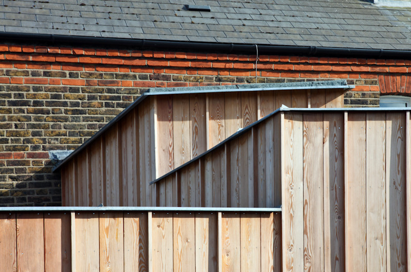 Gallery of Timber Fin House / Neil Dusheiko Architects - 4