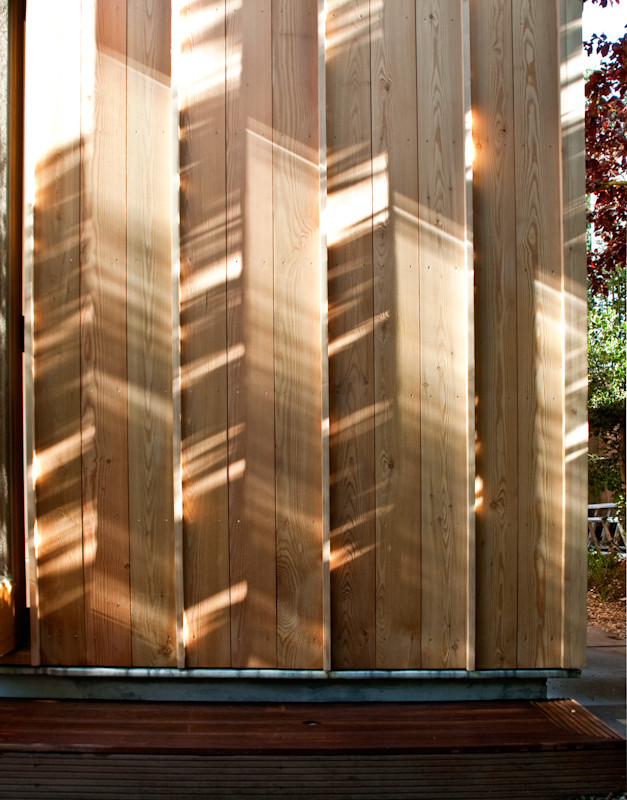 Gallery of Timber Fin House / Neil Dusheiko Architects - 11