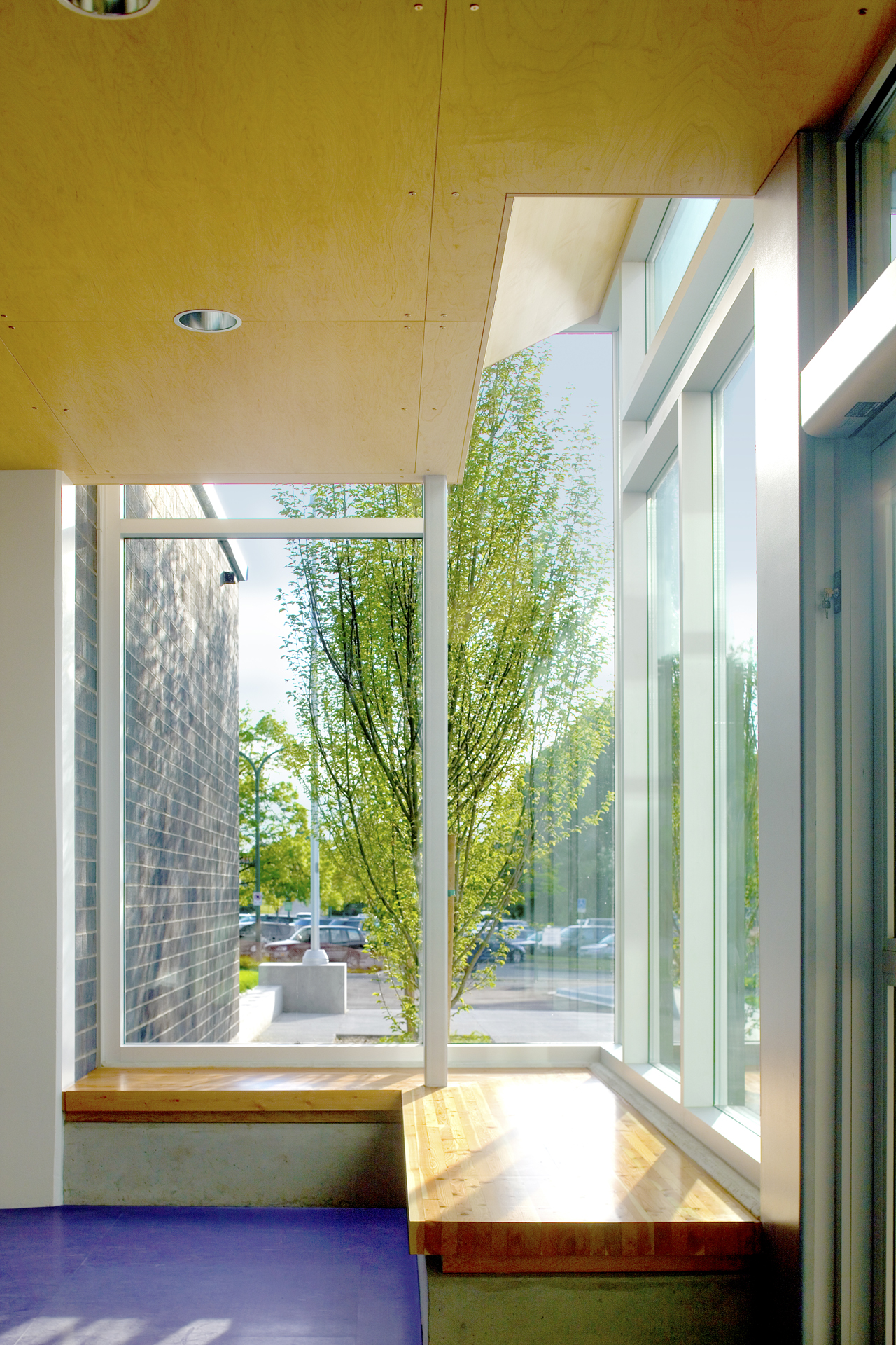 Gallery of Killarney Ice Rink + Lobby / Acton Ostry Architects - 2