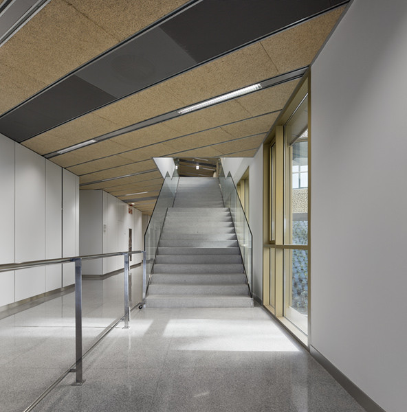 Gallery of Basque Culinary Center / VAUMM - 19