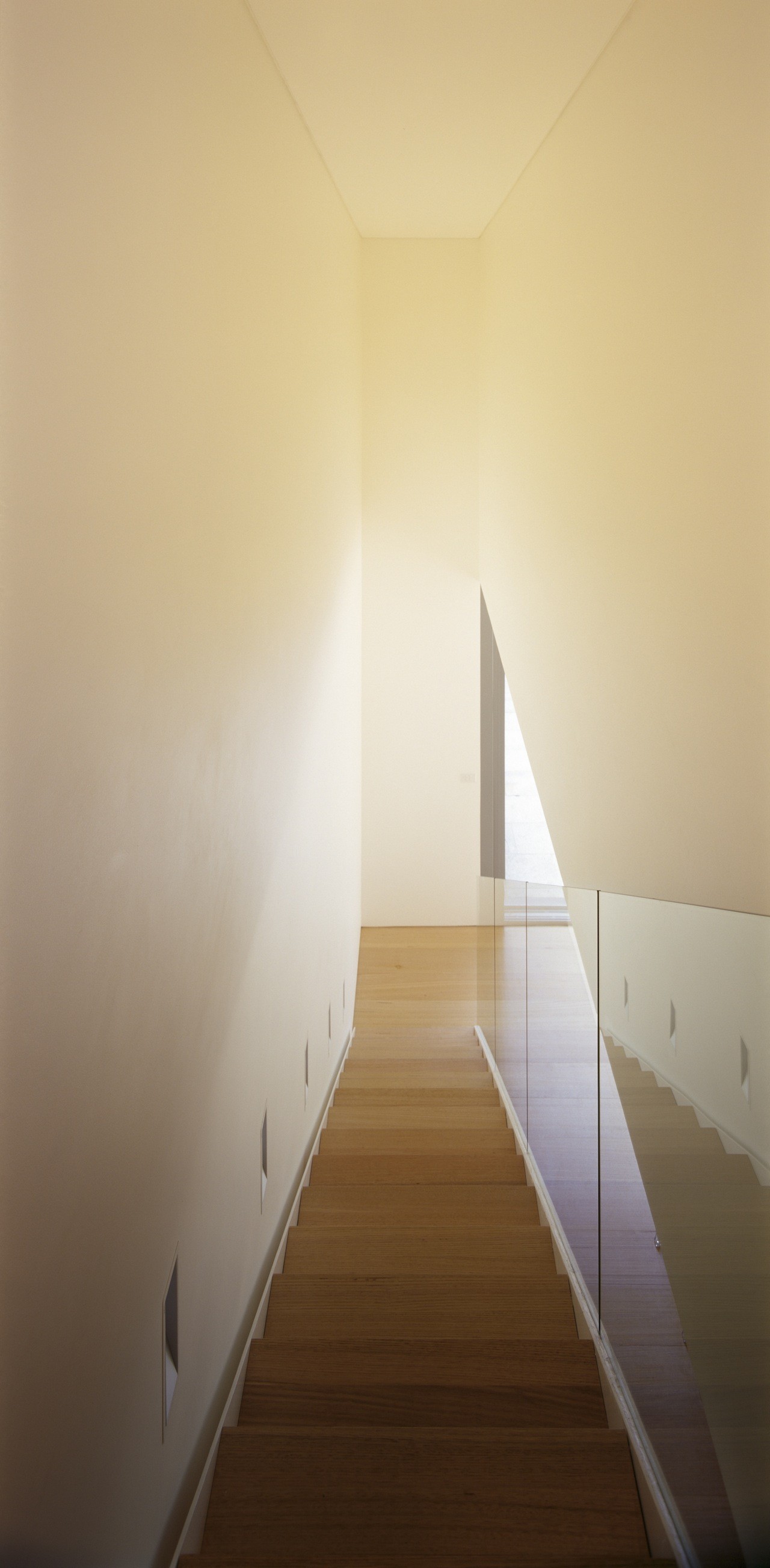 Gallery of Fink House / Ian Moore Architects - 10