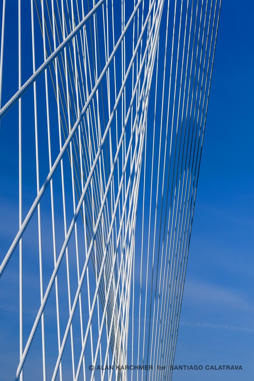 Gallery of Margaret Hunt Hill Bridge / Santiago Calatrava - 12