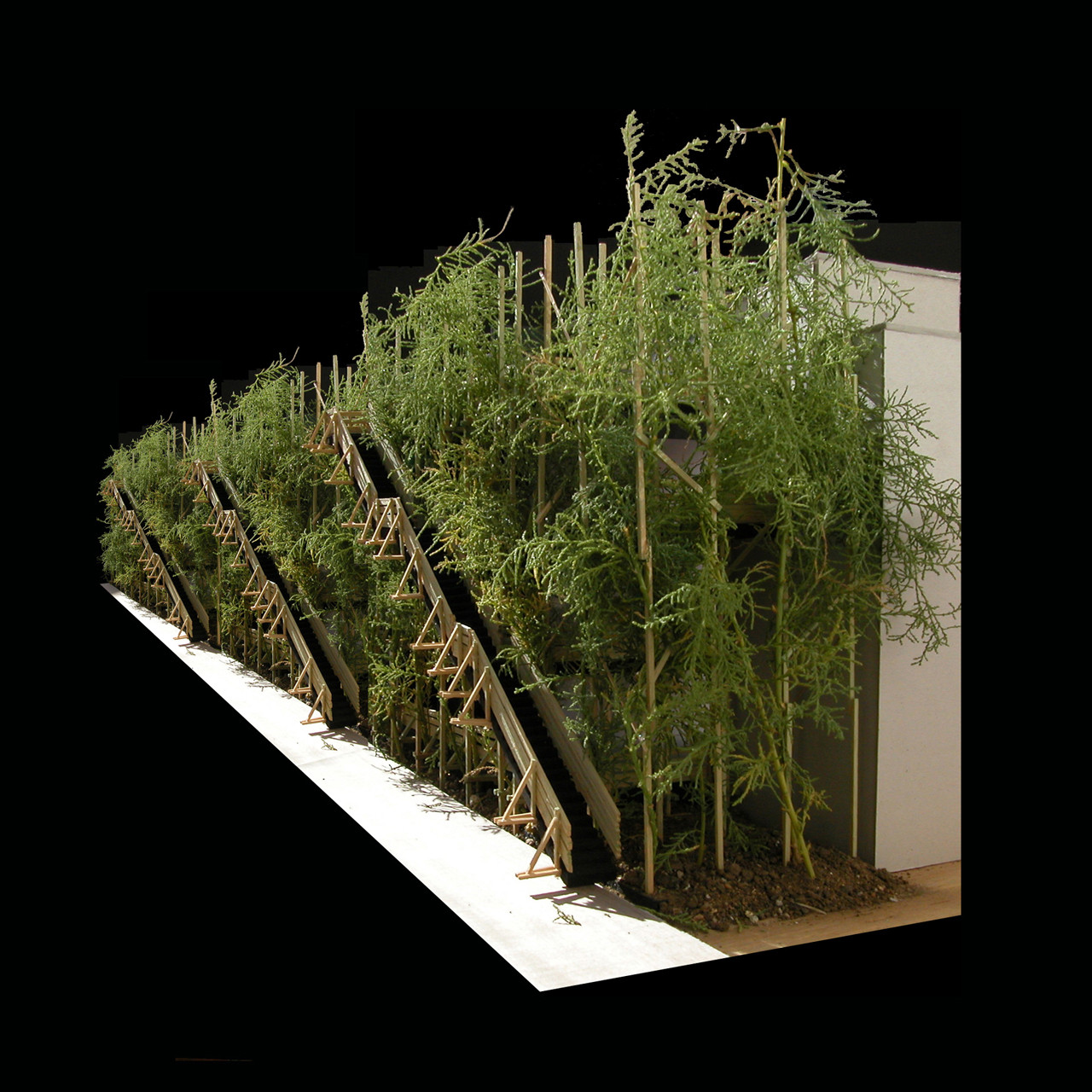 Gallery of Eden Bio / Edouard François - 14