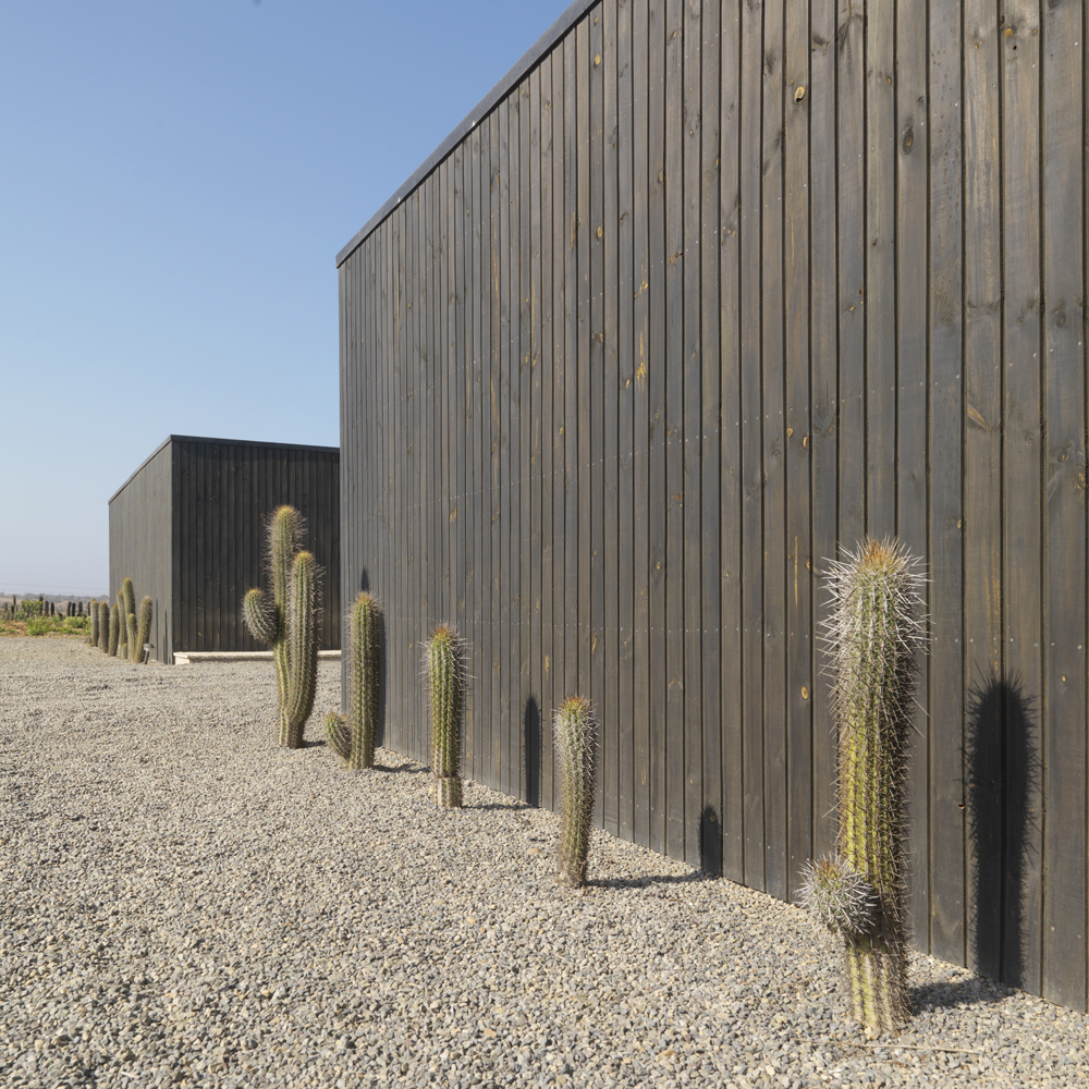 Gallery of House W / 01Arq - 21