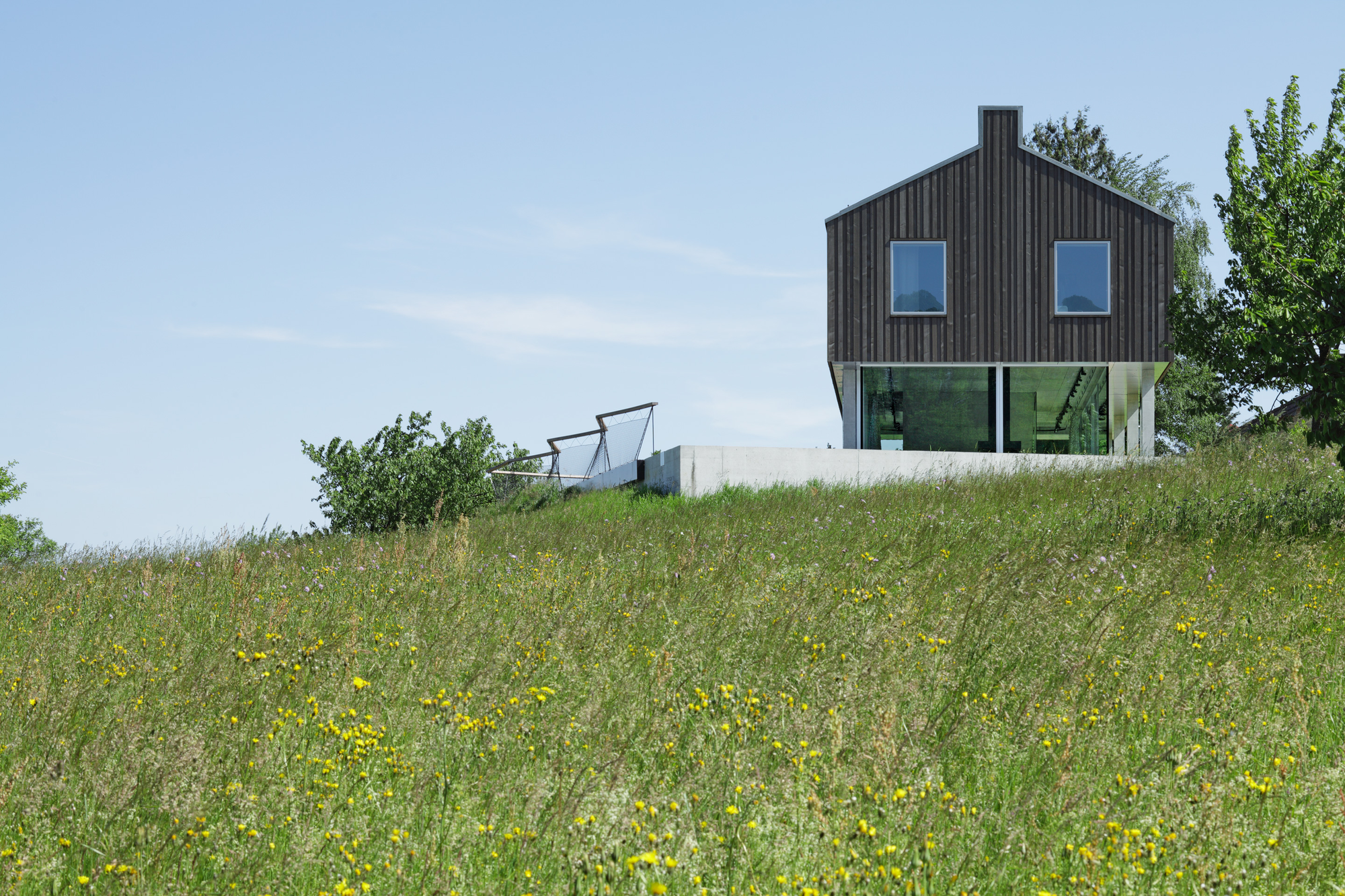 Gallery of House D / HHF Architects - 6