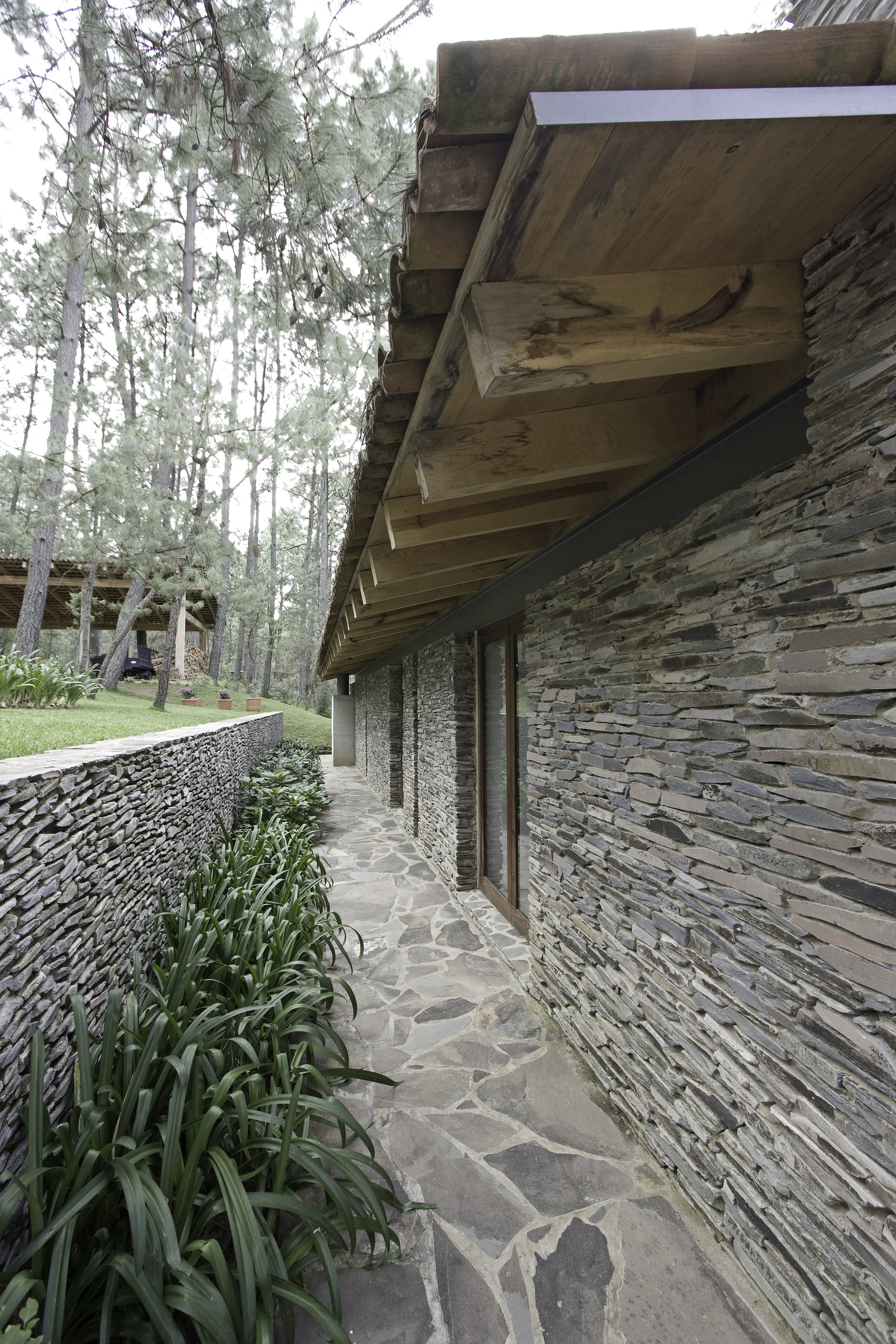 Gallery of TOC House / Elías Rizo Arquitectos - 20
