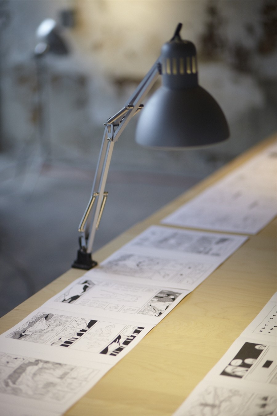 Gallery of MAS Context: Analog 2012 - 16